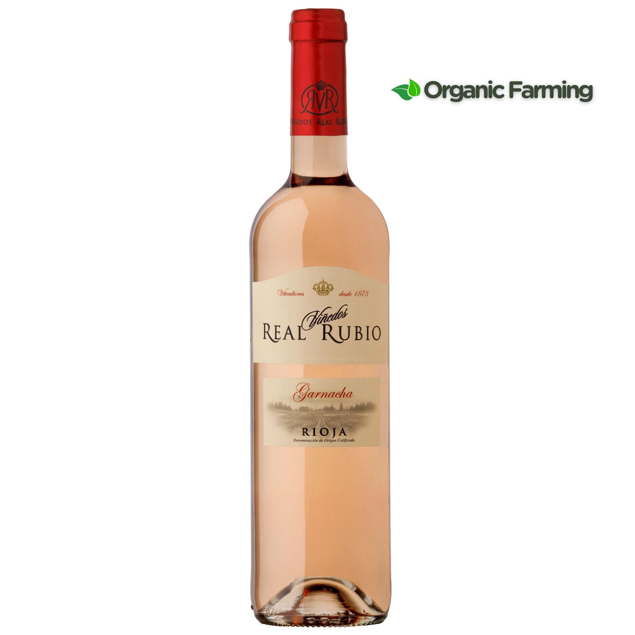 Real Rubio Garnacha Rosé, Rioja Spain – Grape & Bean